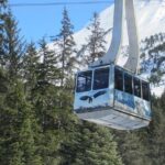 Alaska Wildlife Center and Turnagain Arm Tour w/Alyeska Tram - Who Will Love This Tour?