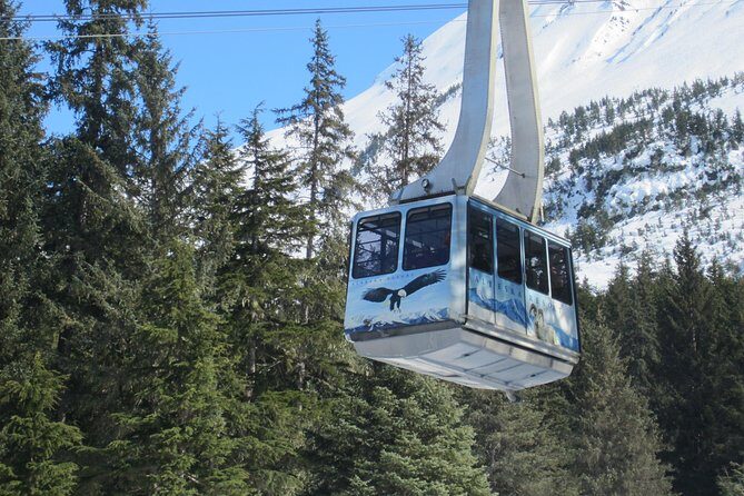 Alaska Wildlife Center and Turnagain Arm Tour w/Alyeska Tram - Who Will Love This Tour?