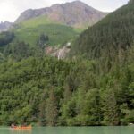 Alaska Wildlife Voyageur Canoe Safari from Haines - Deep Dive into the Itinerary
