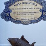 Albufeira History Walking Tour with Wine and Tapas - Visiting the Archaeology Museum (Optional)