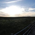 Albufeira - Salgados Reserve Segway Tour - Pricing and Value
