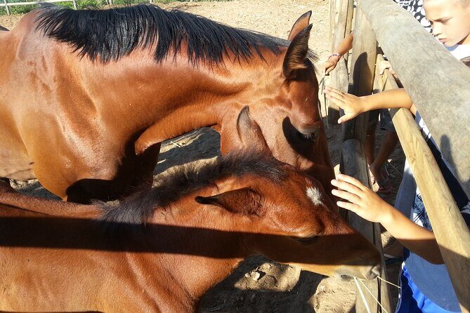 Alcamo Farm Animals and Aromatic Garden - Practical Details and Tips