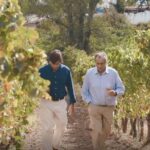 Alentejo Wine Tour from Évora - Who Will Love This Tour?