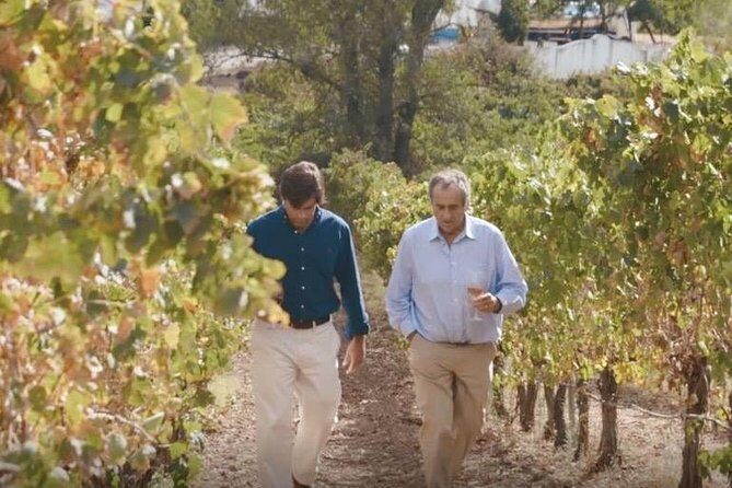 Alentejo Wine Tour from Évora - Who Will Love This Tour?