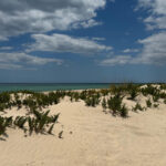 Algarve, Lisbon; V.I.P. Women's road trip with female guide - The Journey and Its Highlights
