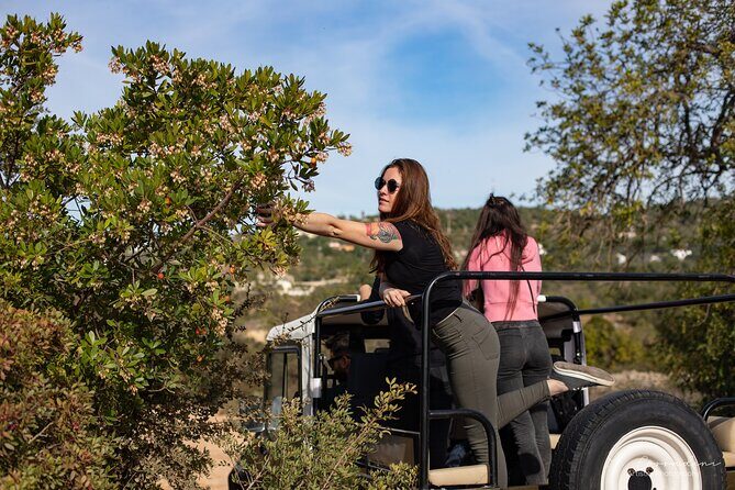 Algarve Safari - Half Day from Albufeira - Who Will Love This Tour?