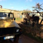 Algarve Sunset Experience - Half Day Jeep Safari Trip - FAQ