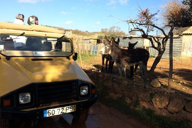 Algarve Sunset Experience - Half Day Jeep Safari Trip - FAQ