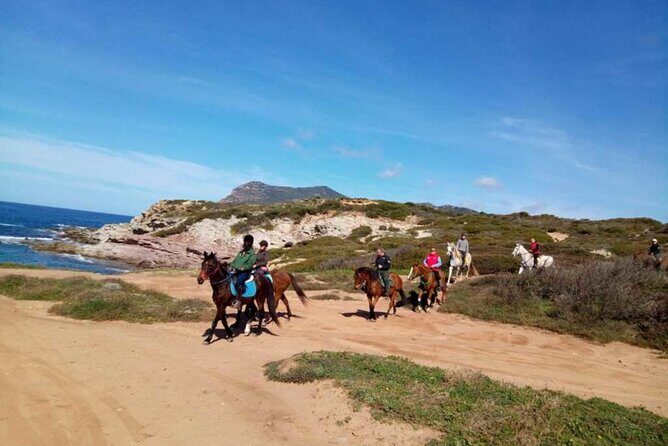 Alghero: horseback ride in Porto Ferro and Lake Baratz - What to Expect on the Tour