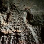 Alghero: private archaeological tour (TRANSFER INCLUDED) with local guide - Final Thoughts: Is It Worth It?