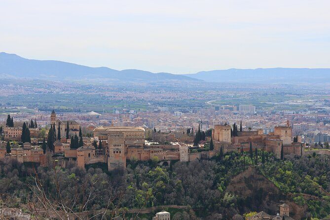 Alhambra Private Tour with tickets - An In-Depth Look at the Tour Experience