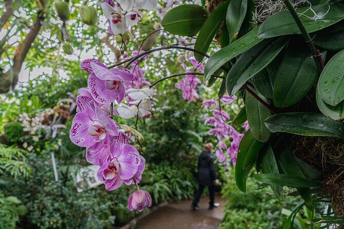 All-Garden Pass for the New York Botanical Garden - Exploring the Garden Itinerary: What to Expect
