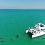 All-Inclusive Sandbar Safari with Dolphin Playground Encounter - The Overall Value: Is It Worth It?
