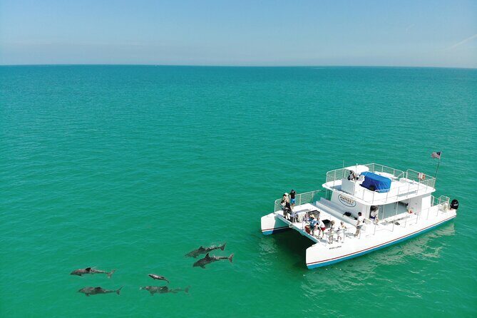 All-Inclusive Sandbar Safari with Dolphin Playground Encounter - The Overall Value: Is It Worth It?