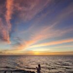 All-Inclusive Sunset Dolphin Watch and Snorkeling Cruise - How the Itinerary Comes Together