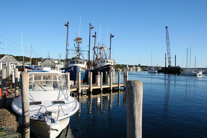All New Shared Jaws tour Budget Friendly - Introduction