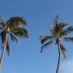 Aloha Scooter Tours - Benefits for Different Travelers
