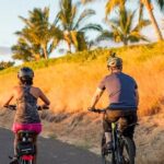 Aloha West Maui 2-Hour Self-Guided Electric Bike Tour - The Sum Up