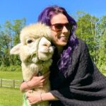 Alpaca and Llama Trek in Pleasant Valley - The Animals: Fluff, Fun, and Personalities