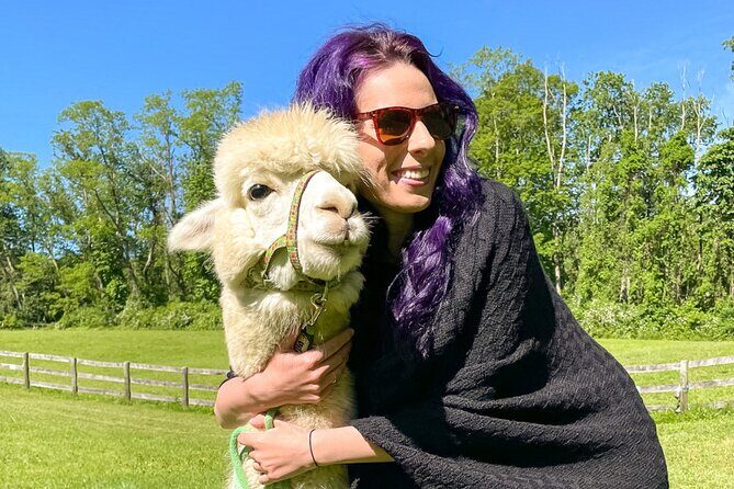 Alpaca and Llama Trek in Pleasant Valley - The Animals: Fluff, Fun, and Personalities