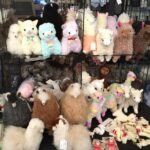 Alpaca Ranch and Fiber Processing Mill Tour - Authenticity and Value
