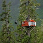 Alpine Zipline Adventure in Juneau, AK - Who Will Love This Tour?