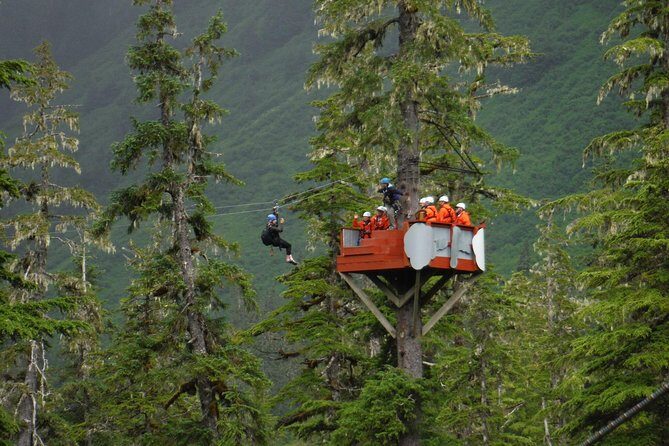 Alpine Zipline Adventure in Juneau, AK - Who Will Love This Tour?