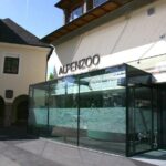 Alpine Zoo Innsbruck and Hungerburg Funicular Combo Ticket - Is the Price Worth It?
