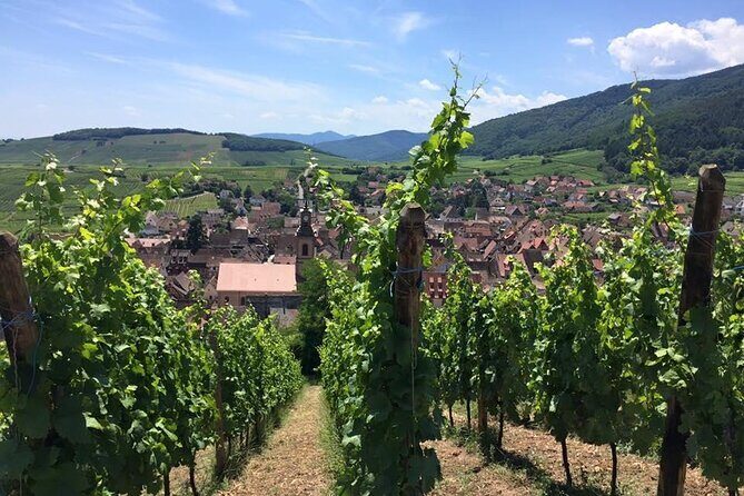 Alsace 4 Wonders Private Full Day Trip - Final Thoughts: Who Will Love This Tour?