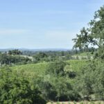 Amador County Wine Tasting Tour Private Tour 1 To 14 Group - An In-Depth Look at the Tour Experience