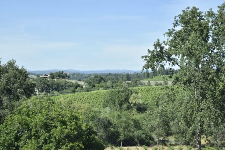 Amador County Wine Tasting Tour Private Tour 1 To 14 Group - An In-Depth Look at the Tour Experience