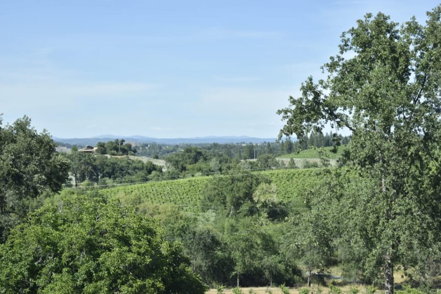 Amador County Wine Tasting Tour Private Tour 1 To 14 Group - An In-Depth Look at the Tour Experience