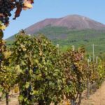 Amalfi Coast with Wine Tasting - Private Driving Tour from Rome - Transportation and Practicalities