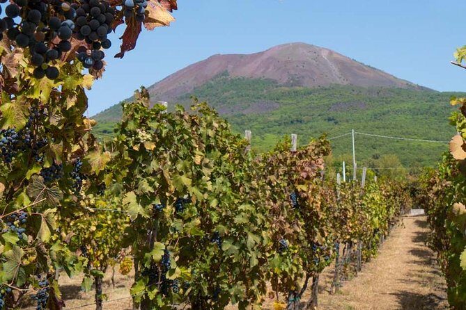 Amalfi Coast with Wine Tasting - Private Driving Tour from Rome - Transportation and Practicalities