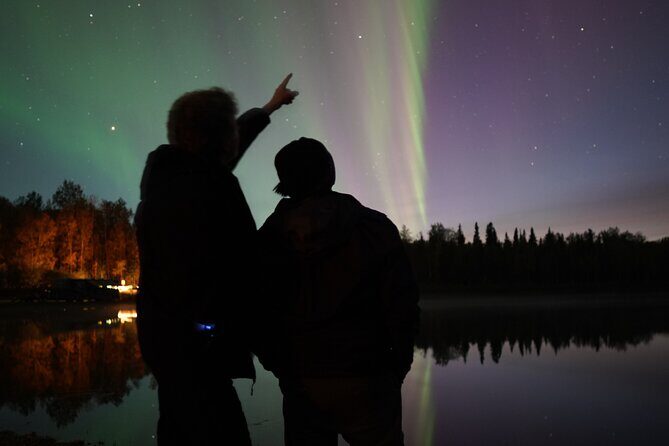 Amazing Aurora Chasing Experience. - Authentic Experiences from Travelers