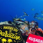 AMAZING KUSADASI SCUBA DIVING - An In-Depth Look at Kusadasi Scuba Diving Tour