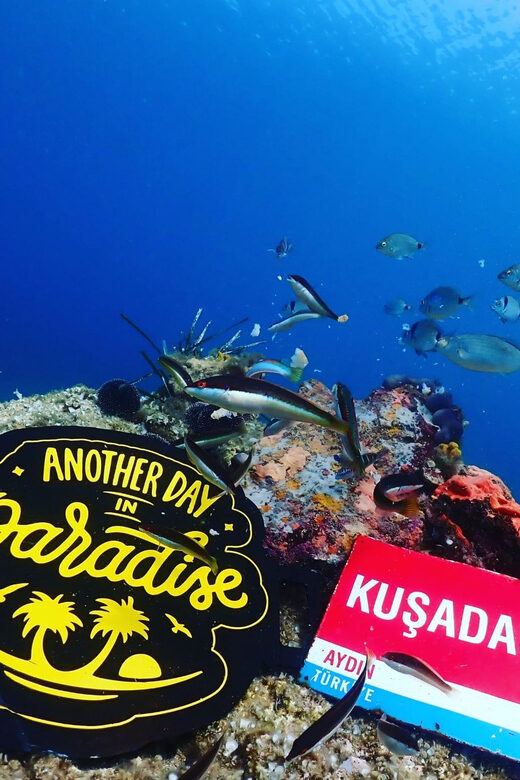 AMAZING KUSADASI SCUBA DIVING - An In-Depth Look at Kusadasi Scuba Diving Tour