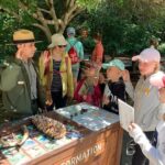 Amazing Muir Woods and Sausalito Tour - Muir Woods: The Heart of the Experience