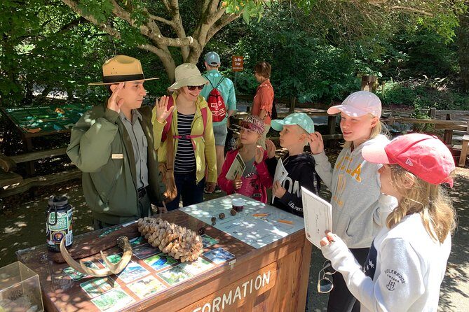 Amazing Muir Woods and Sausalito Tour - Muir Woods: The Heart of the Experience