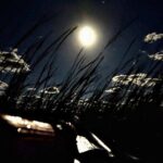 Amelia Full Moon Paddle at Talbot Islands State Park - Whats the Value?