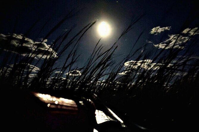 Amelia Full Moon Paddle at Talbot Islands State Park - Whats the Value?