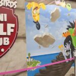 American Dream: Angry Birds Mini Golf Ticket - The Practical Side: Details That Matter