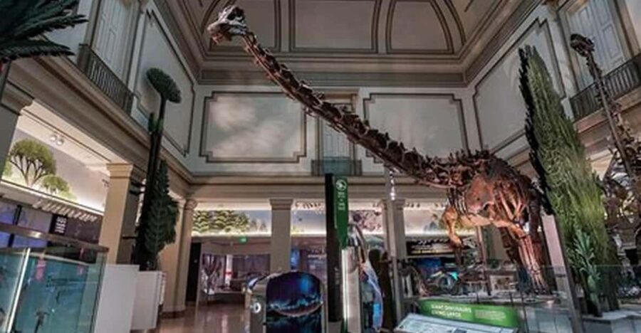 American History/Natural History Museum Combo Guided Tour - Final Thoughts and Who It’s Best For
