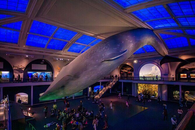 American Museum of Natural History Admission Ticket - Authentic Feedback from Visitors