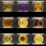 Amsterdam: ARTIS-Micropia Microbe Museum Entry Ticket - The Value for Money
