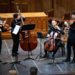Amsterdam: Classical Music Concert at the Begijnhof - The Venue: A Medieval Treasure for Music Lovers