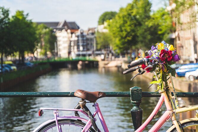 Amsterdam Countryside Bike Tour - Practical Details You Need to Know