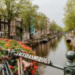 Amsterdam Jordaan Tour in Italian (Anne Frank House) - The Value of the Experience