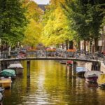 Amsterdam local transfers - What to Expect: The Transfer Experience