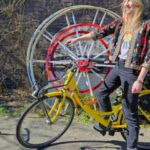 Amsterdam: North Amsterdam Bike Tour - Who Will Love This Tour?